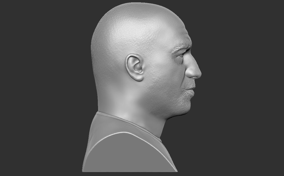 Joe Rogan bust for 3D printing 3D model 3D printable | CGTrader