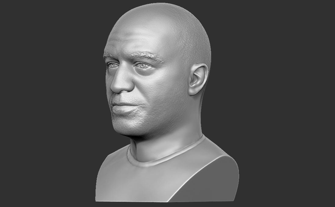 Joe Rogan bust for 3D printing 3D model 3D printable | CGTrader