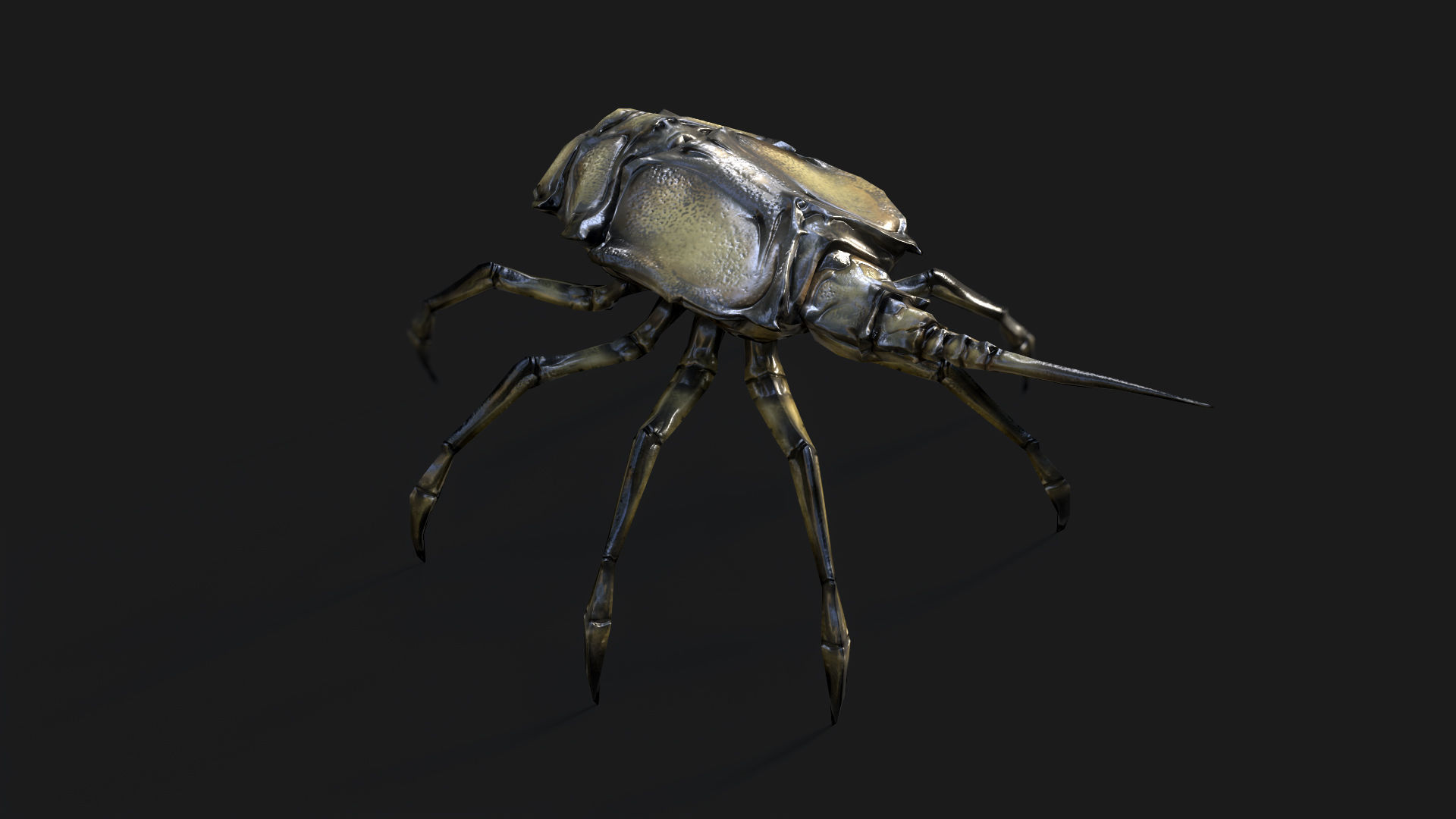 3D model Insect Crawler VR / AR / low-poly rigged animated | CGTrader