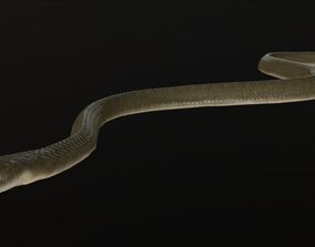 Rigged Snake 3D Models | CGTrader