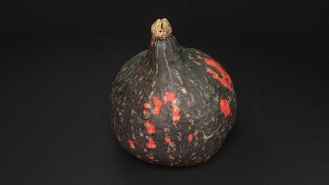 3D model Exotic pumpkin game-ready photoscan 01 VR / AR / low-poly ...