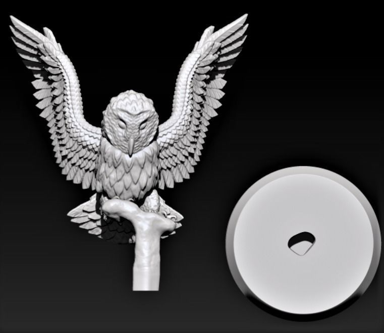 Barn Owl 3D print model 3D model 3D printable | CGTrader
