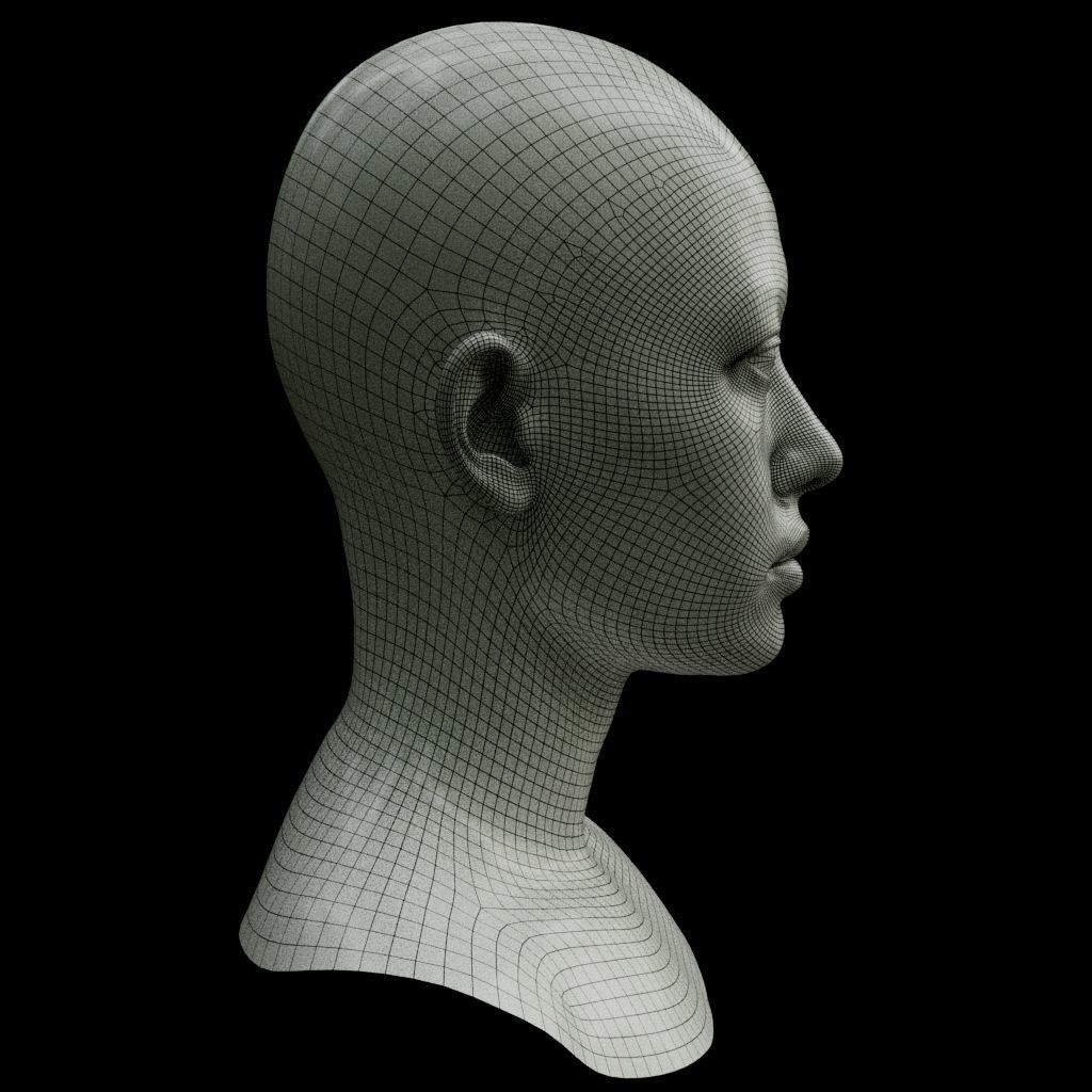 Female head free 3D model | CGTrader