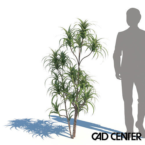 yucca 1600 a 3D model | CGTrader