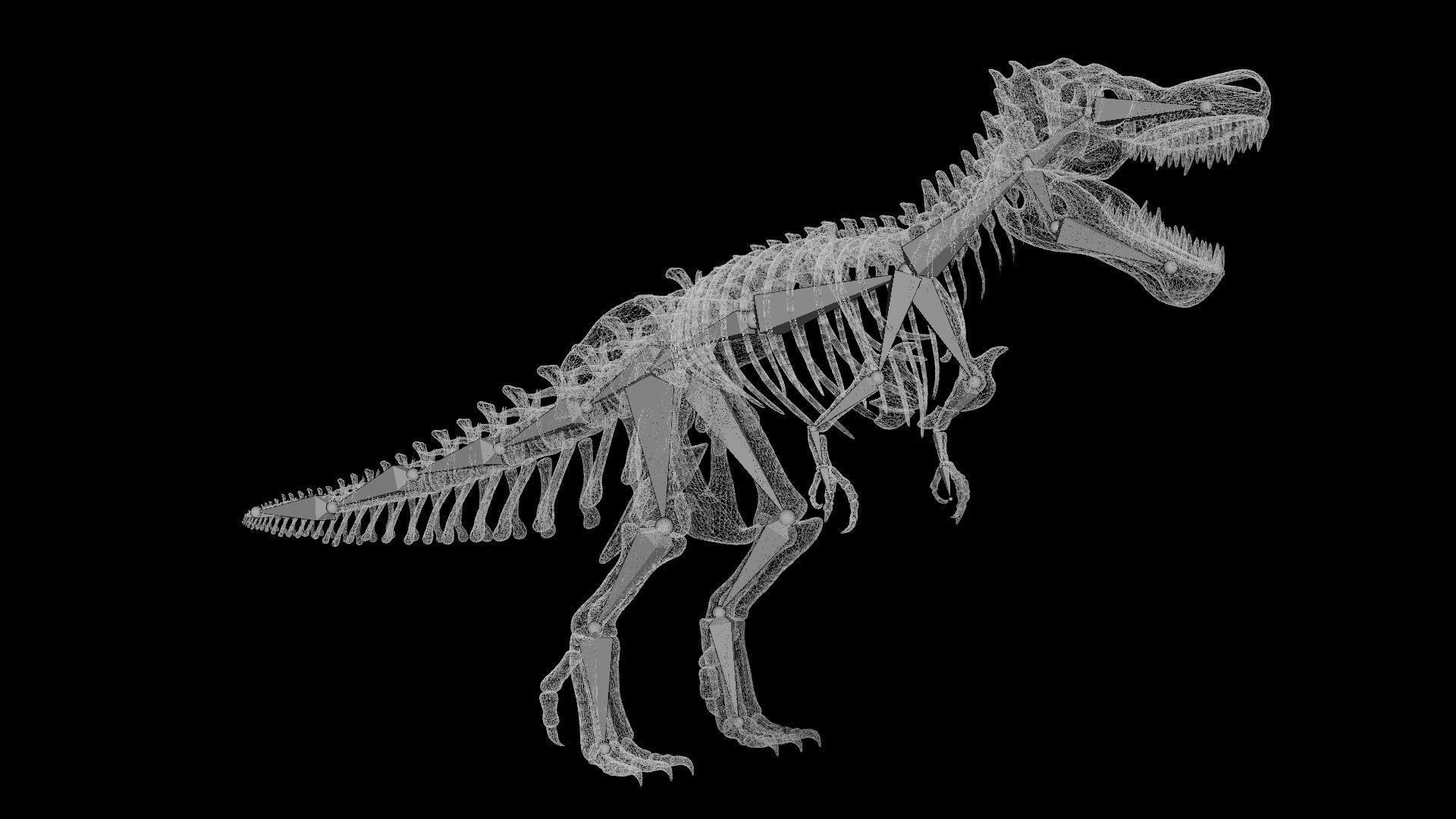 3D model Trex skeleton VR / AR / low-poly | CGTrader