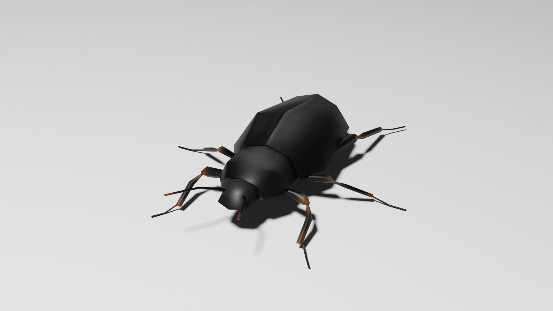 Insects Pack - Low Poly 3D model | CGTrader