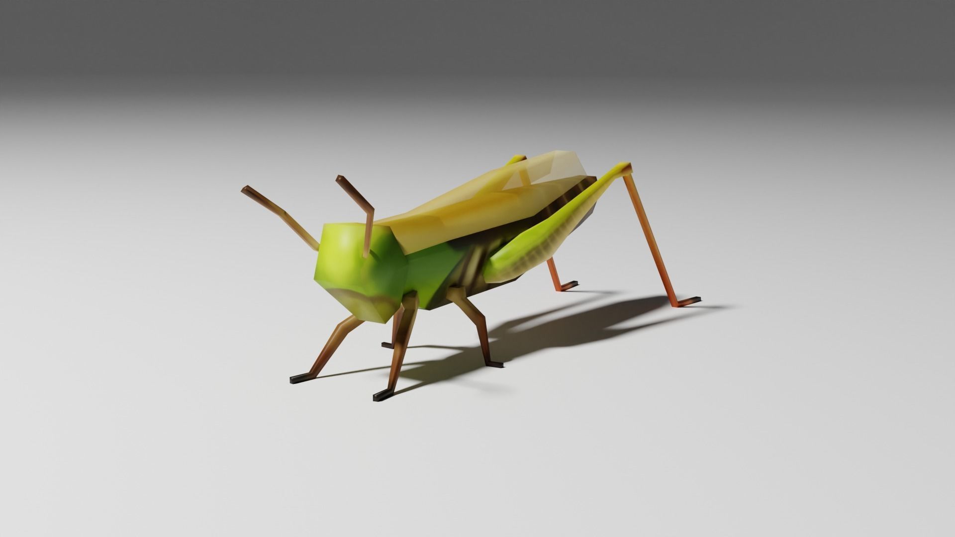 Insects Pack - Low Poly 3D model | CGTrader