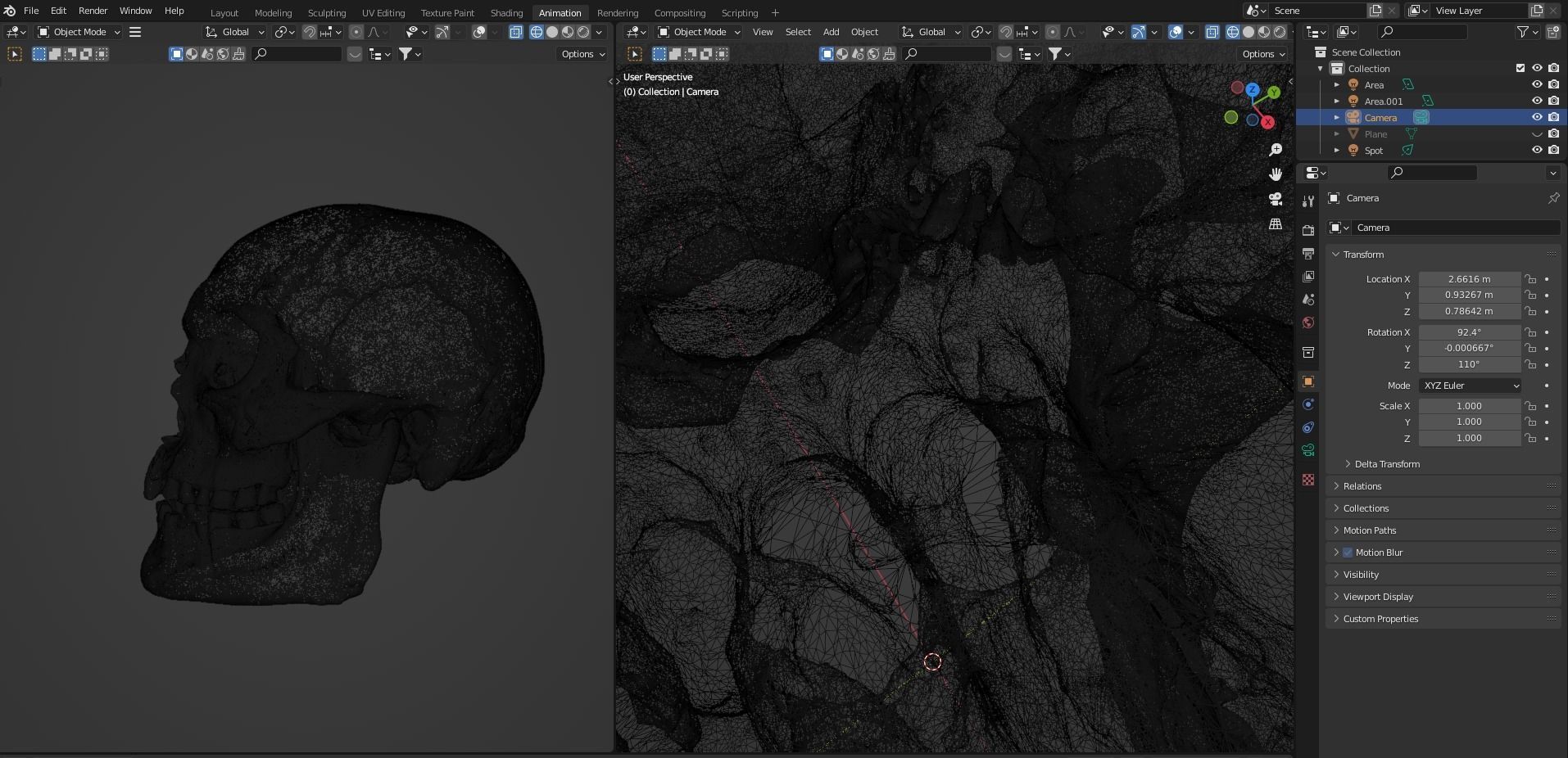 REALISTIC MEN CRANIUM 3D model | CGTrader