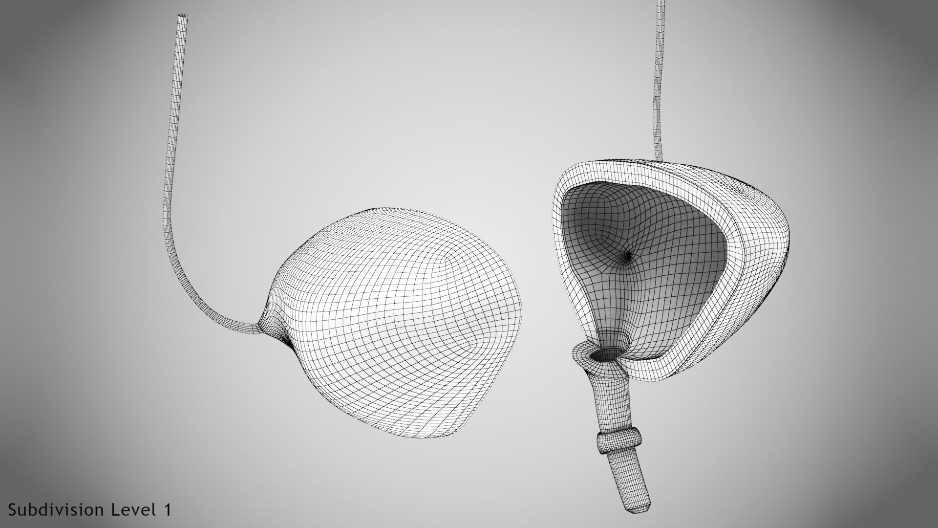 Bladder with Cross-Section 3D model | CGTrader