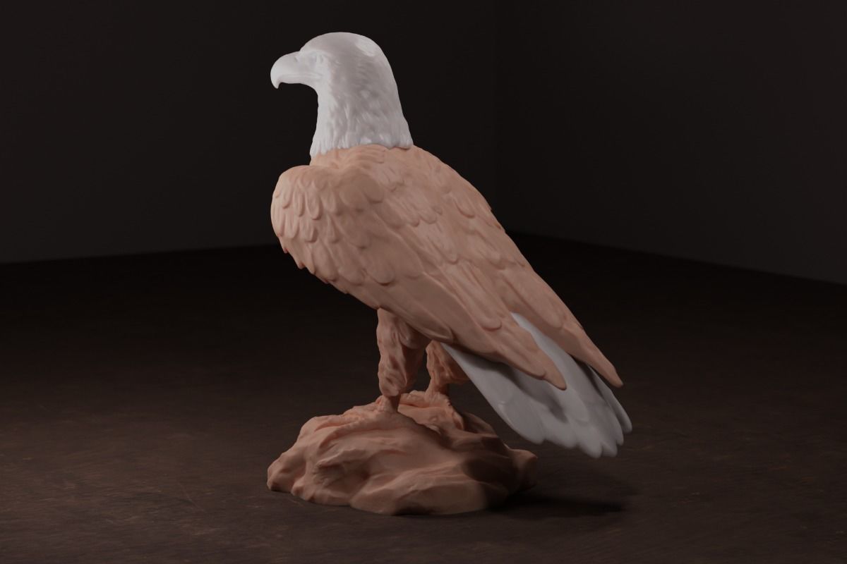 Bald Eagle Sculpture 3D model 3D printable | CGTrader