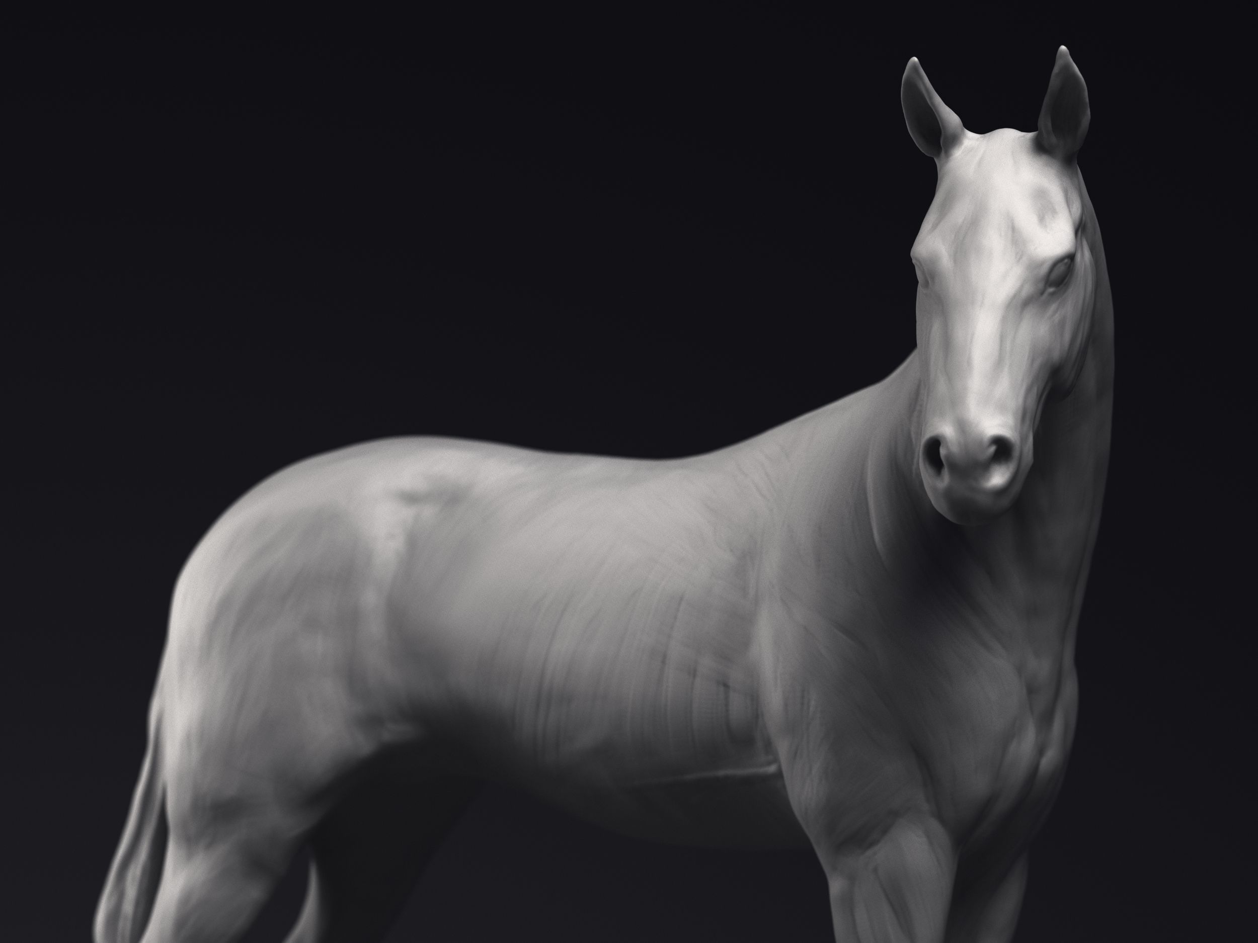 Study of a Horse Printable 3D Model 3D model 3D printable | CGTrader