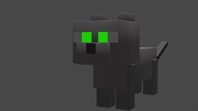 Cat Minecraft Face