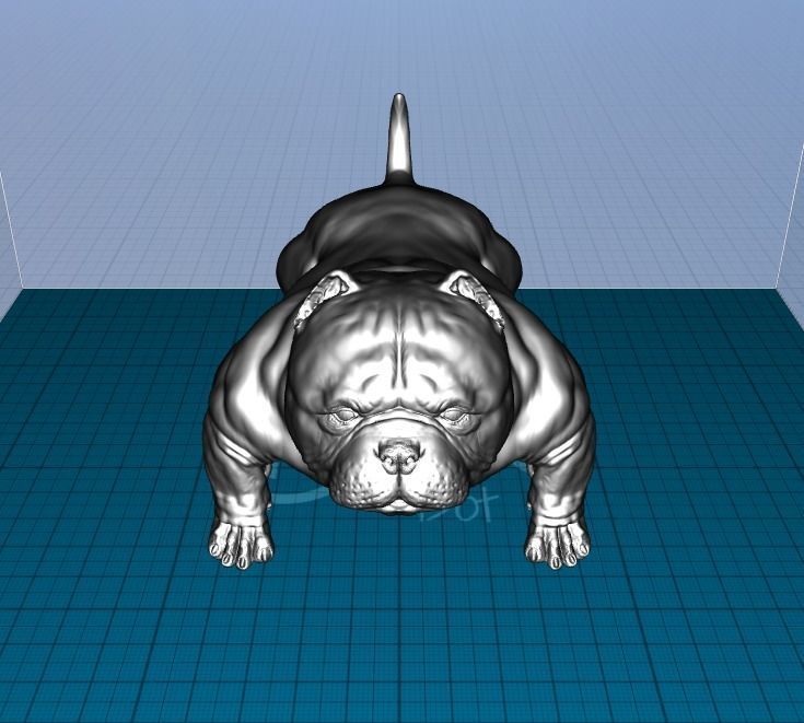 AMERICAN PITBULL 3D model 3D printable | CGTrader