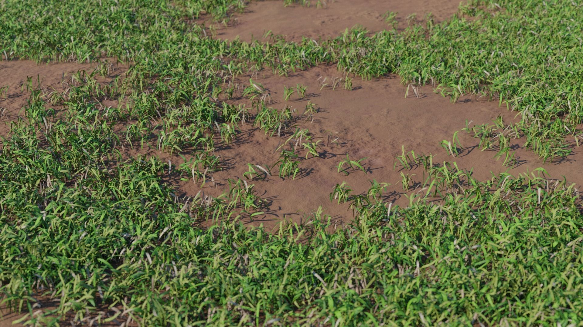 3D model Photorealistic Low Poly Grass Lawn Meadows VR / AR / low-poly ...