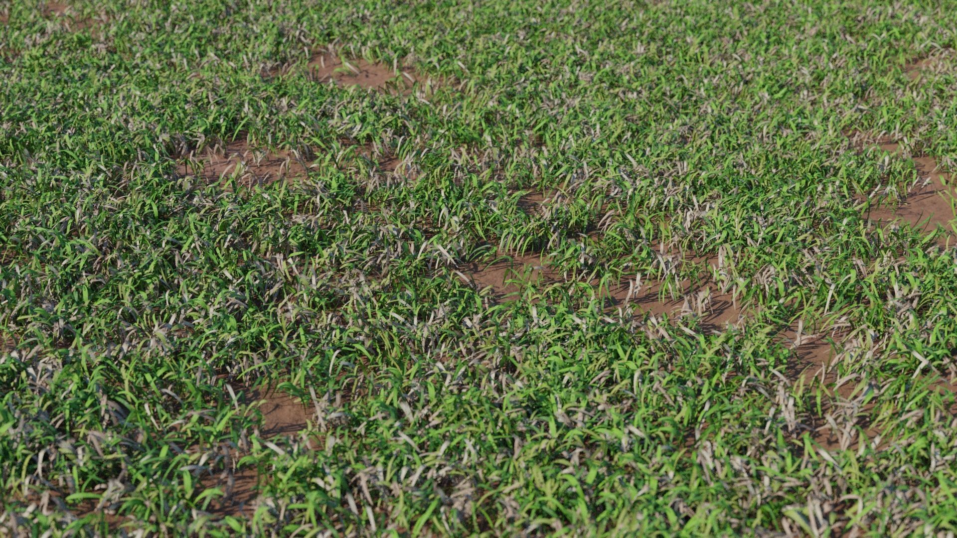 3D model Photorealistic Low Poly Grass Lawn Meadows VR / AR / low-poly ...