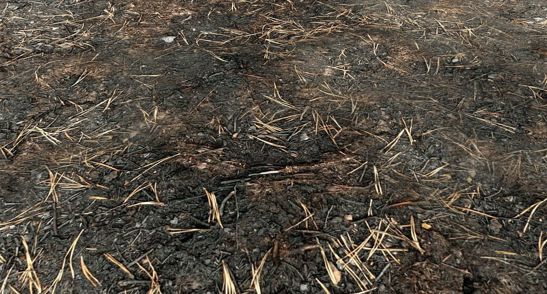 3D model Terrain - Burn Ground - PBR - seamless VR / AR / low-poly ...