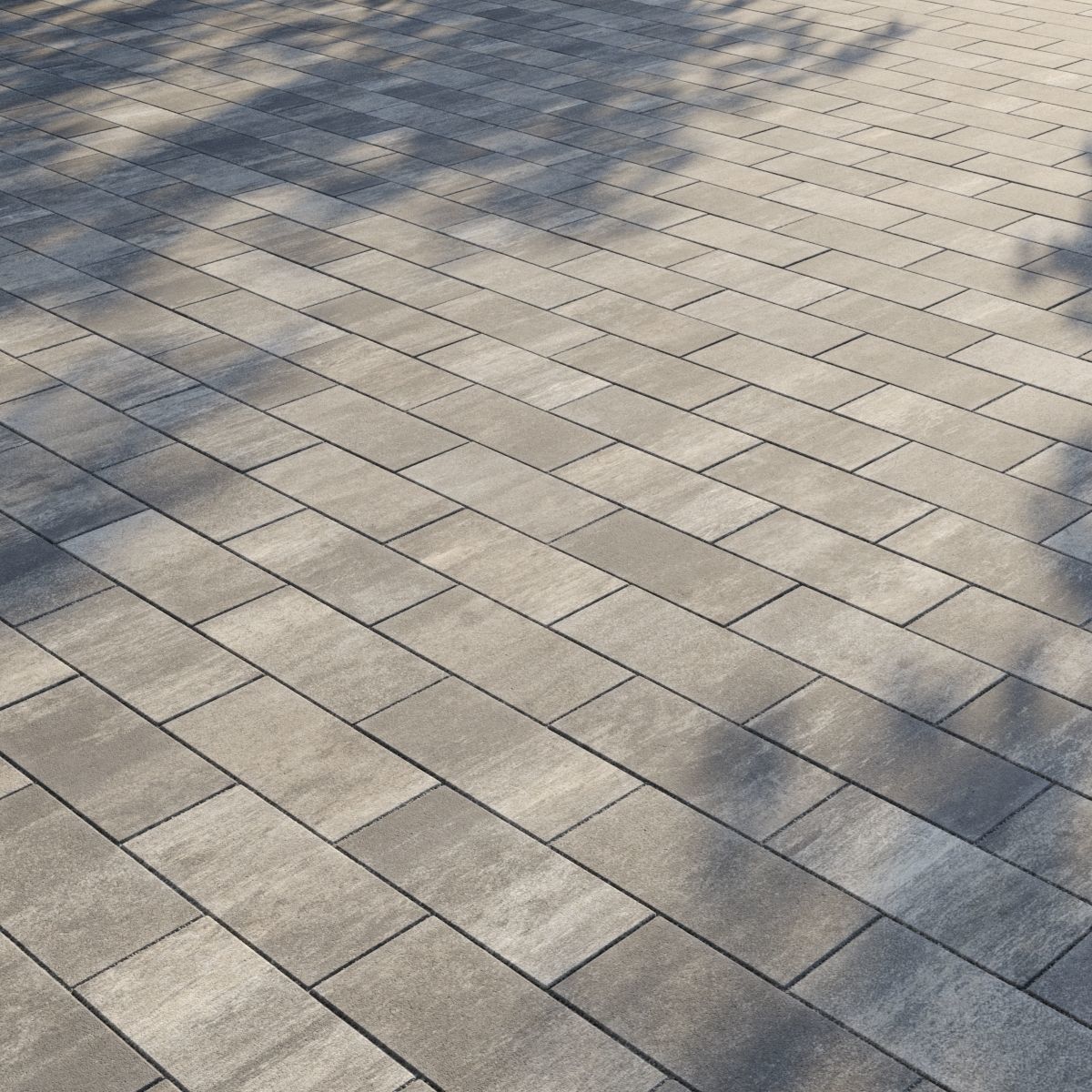 Paving Type 2 Set 4 Texture | CGTrader