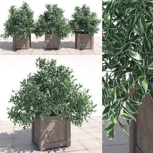 Deren white 3D model | CGTrader