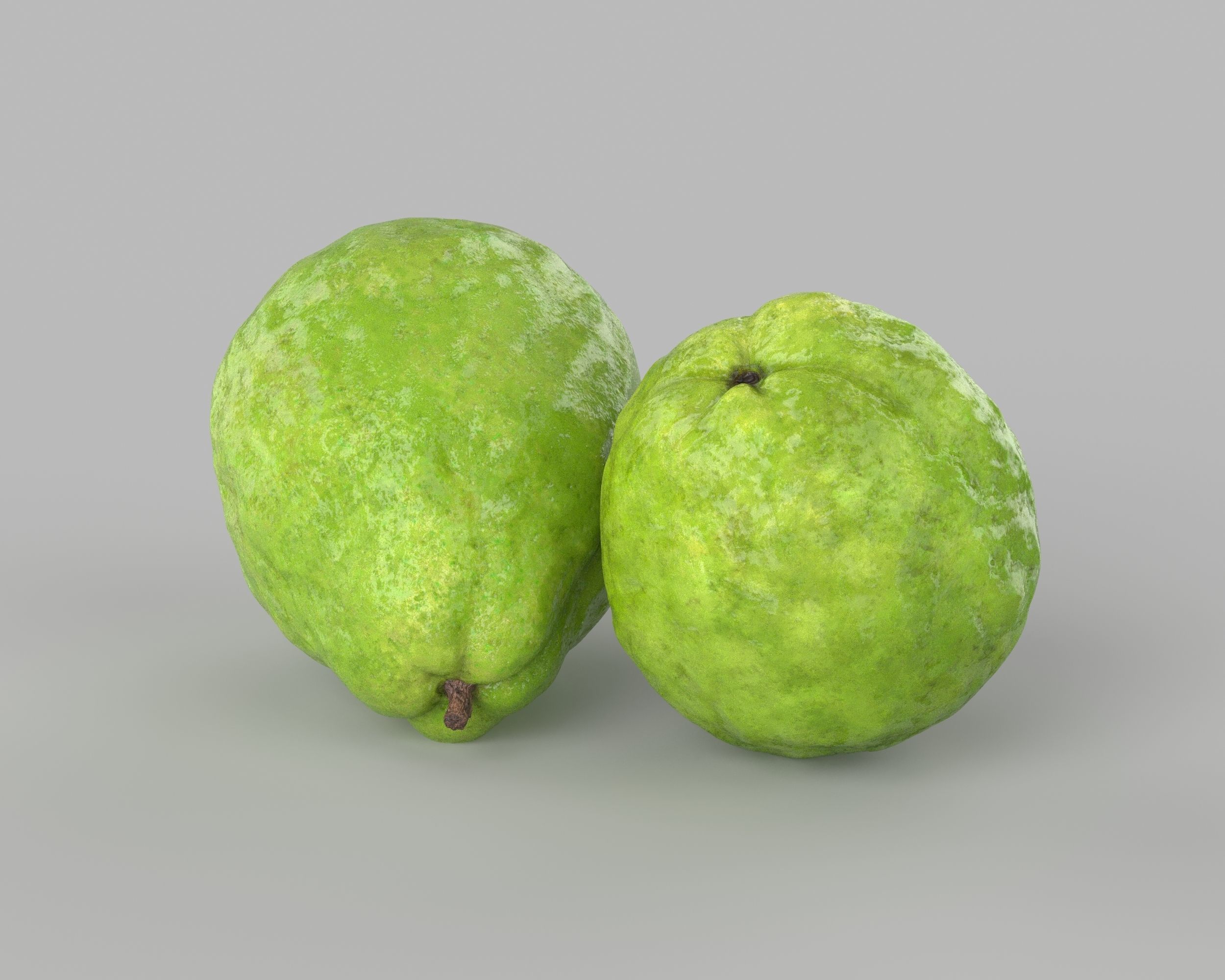 Guava 3D model | CGTrader