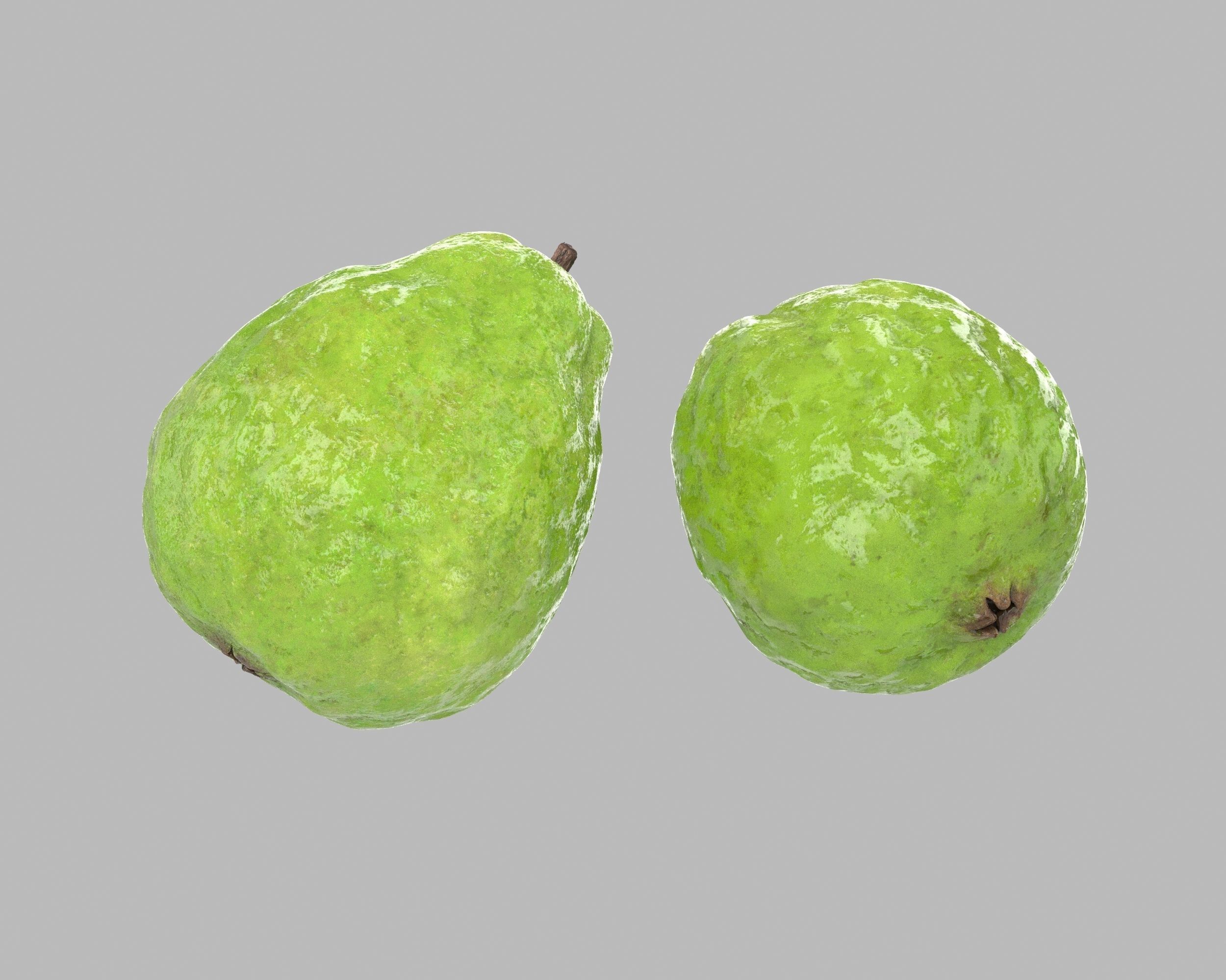 Guava 3D model | CGTrader
