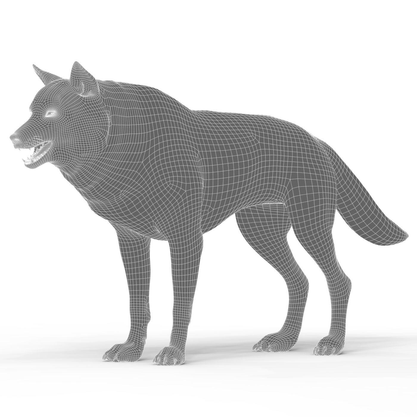Realistic Wolf 3D model | CGTrader