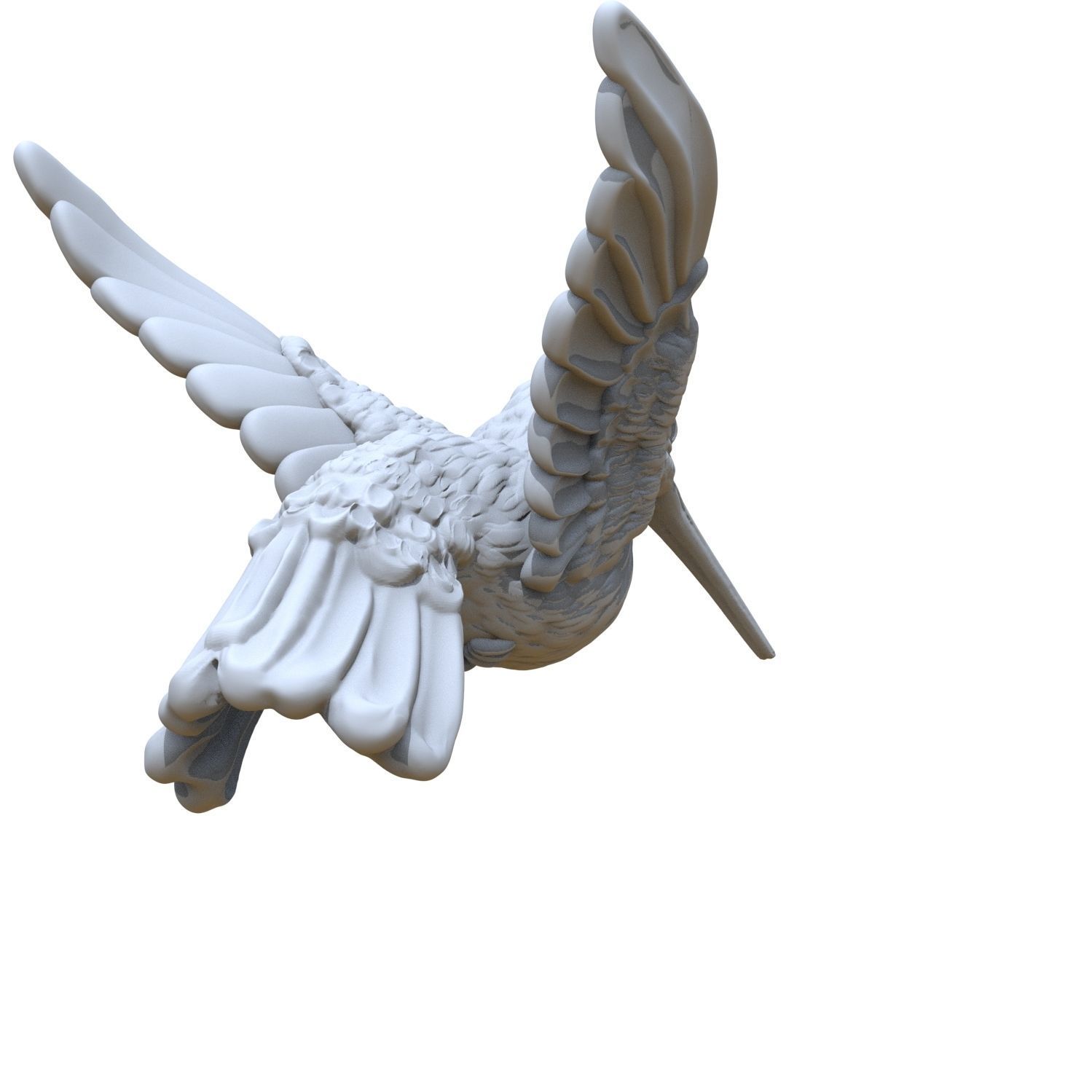 Hummingbird- colibri 3D model 3D printable | CGTrader