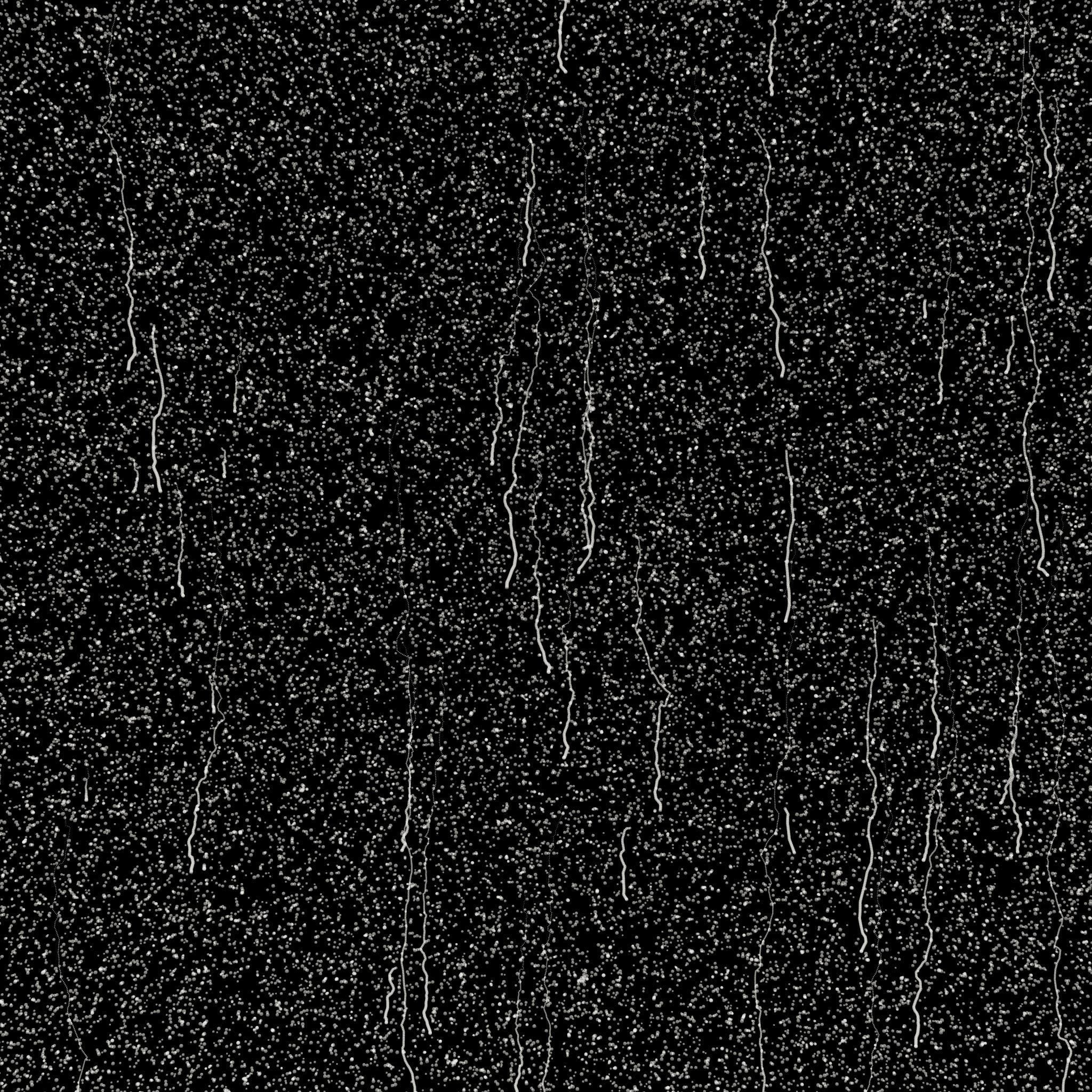 Raindrops Texture free Texture | CGTrader