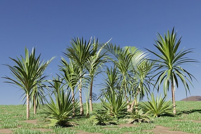 3D model Complete Nature Asset pack with grass VR / AR / low-poly ...