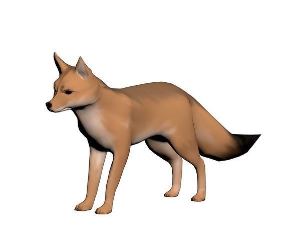 Fox model 3D model | CGTrader