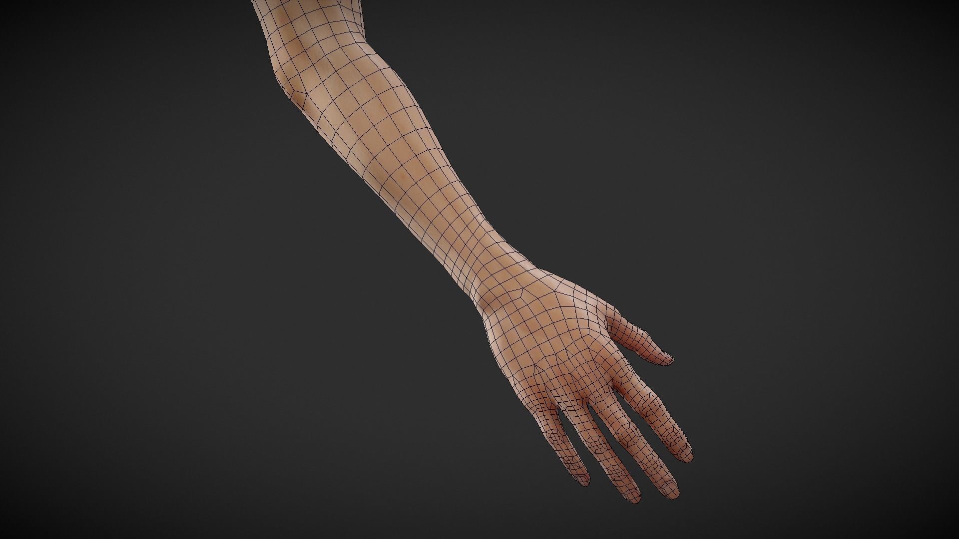 Fit Female Anatomy - Arm and Hand base mesh 3D model | CGTrader