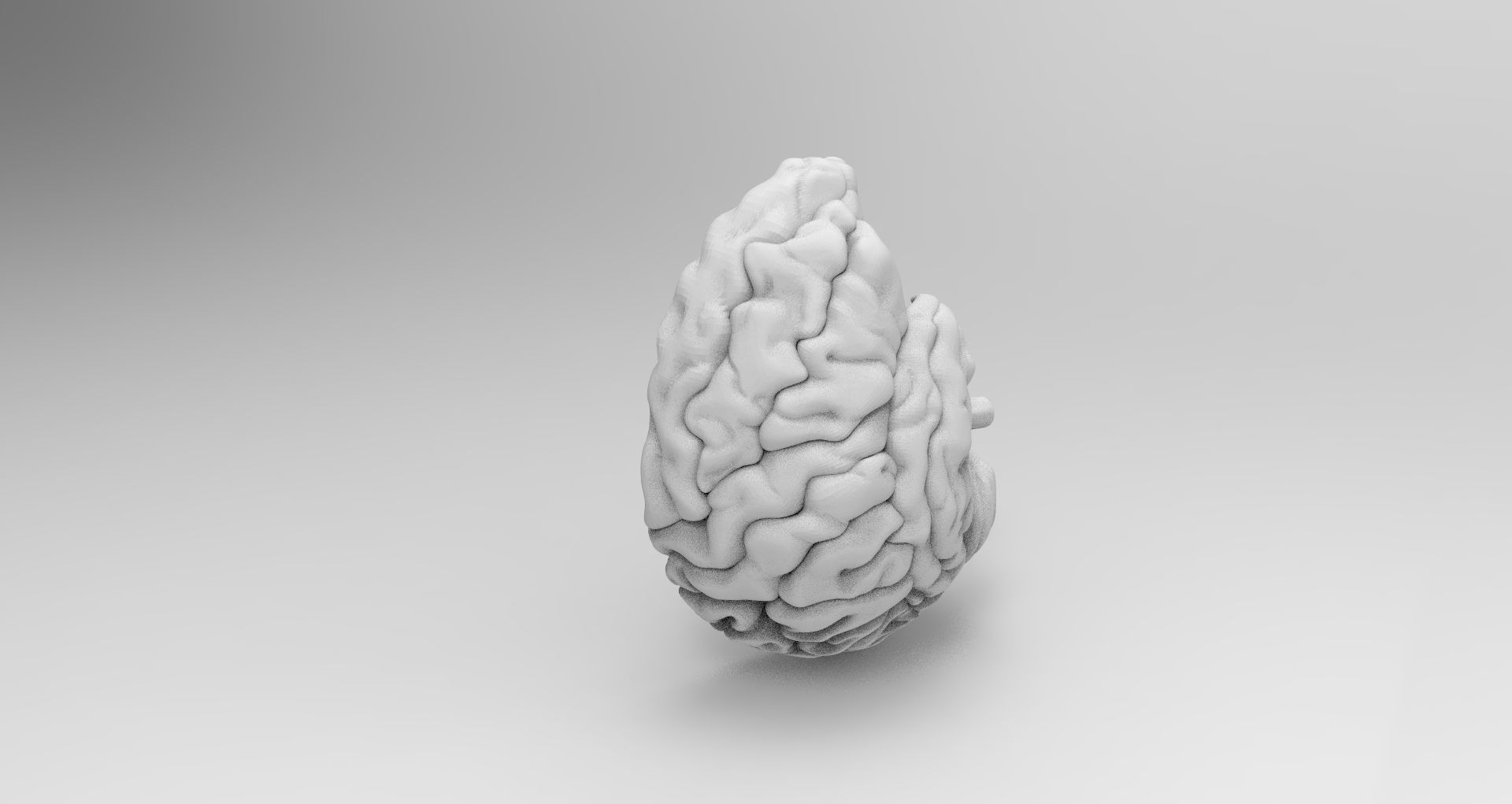 Human brain 3D model 3D printable | CGTrader