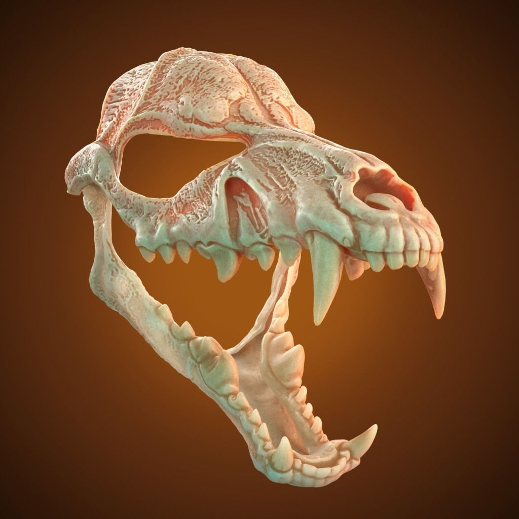 Scary Mask Wolf Skull 3D Model Stl File Halloween 3D model 3D printable ...