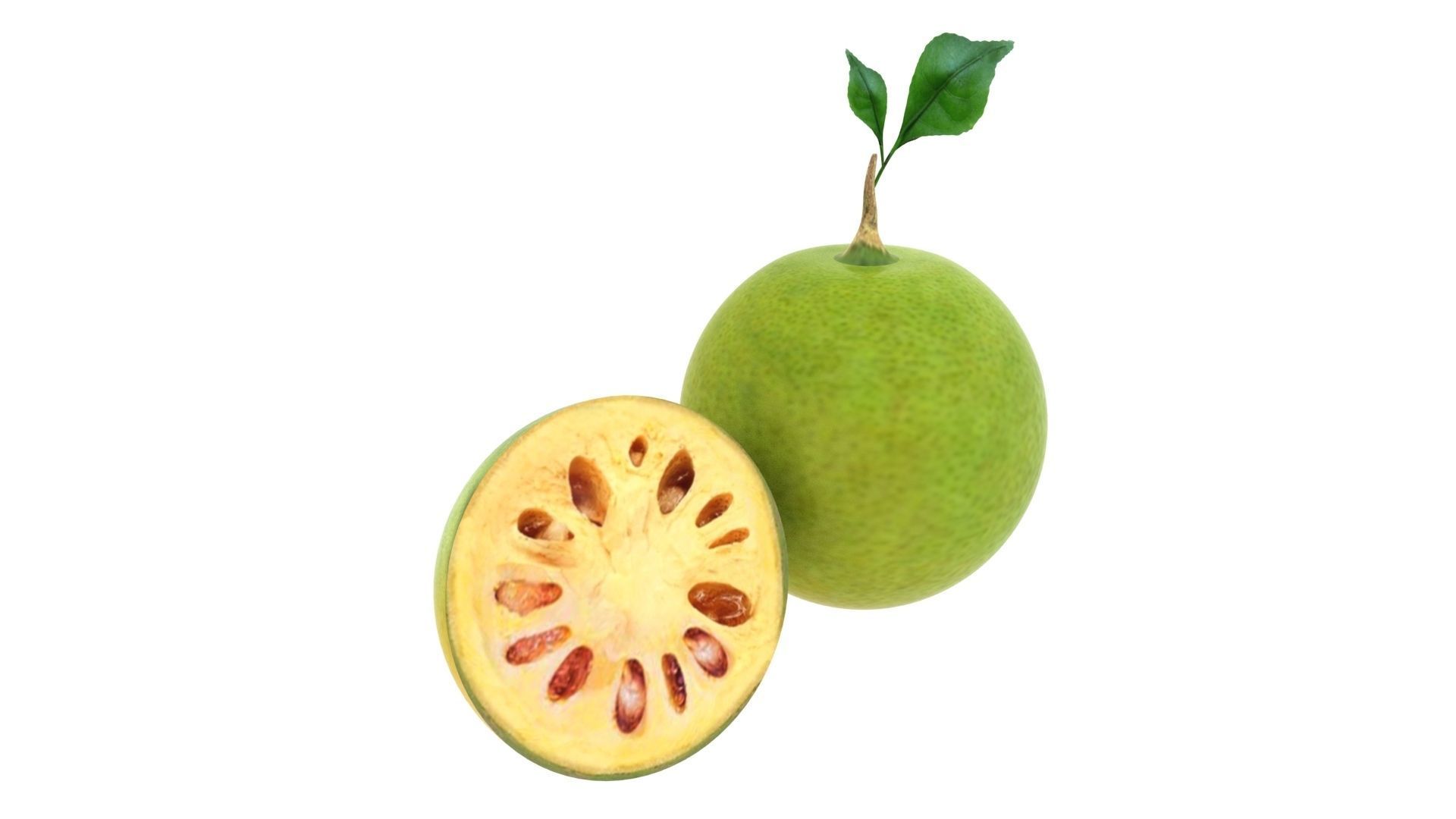 Bilva fruit 3D model | CGTrader