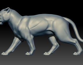 Panther 3D Models | CGTrader