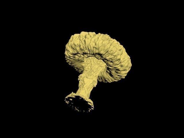 Atomic bomb mushroom cloud 3D model 3D printable | CGTrader