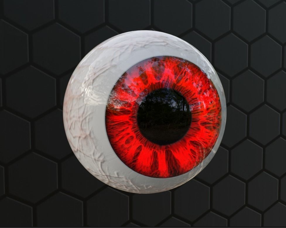 Customizable Human Eye 3D model rigged | CGTrader