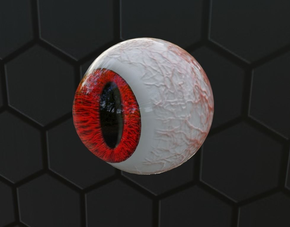 Customizable Human Eye 3D model rigged | CGTrader