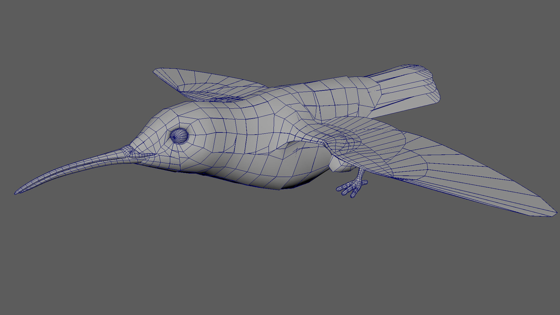 3D hummingbird 3D model | CGTrader