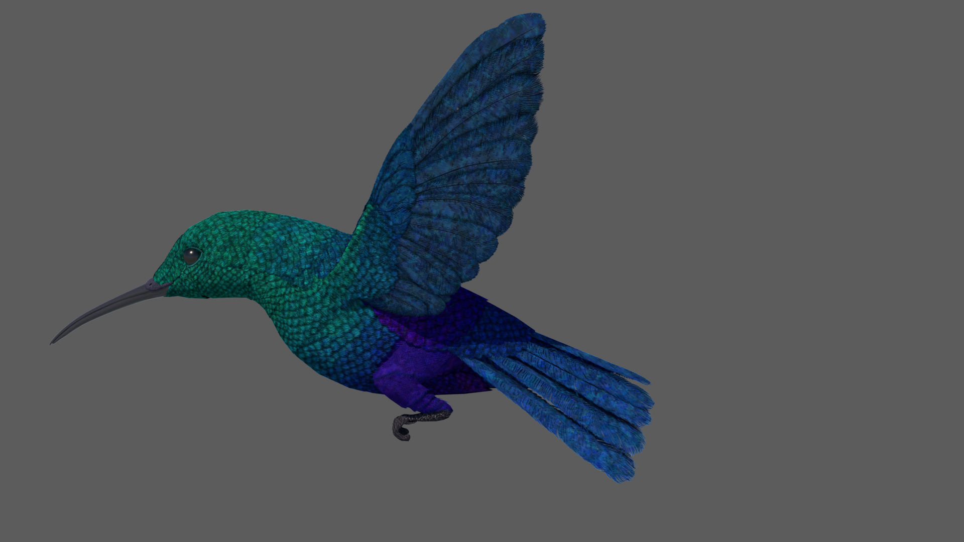 3D hummingbird 3D model | CGTrader