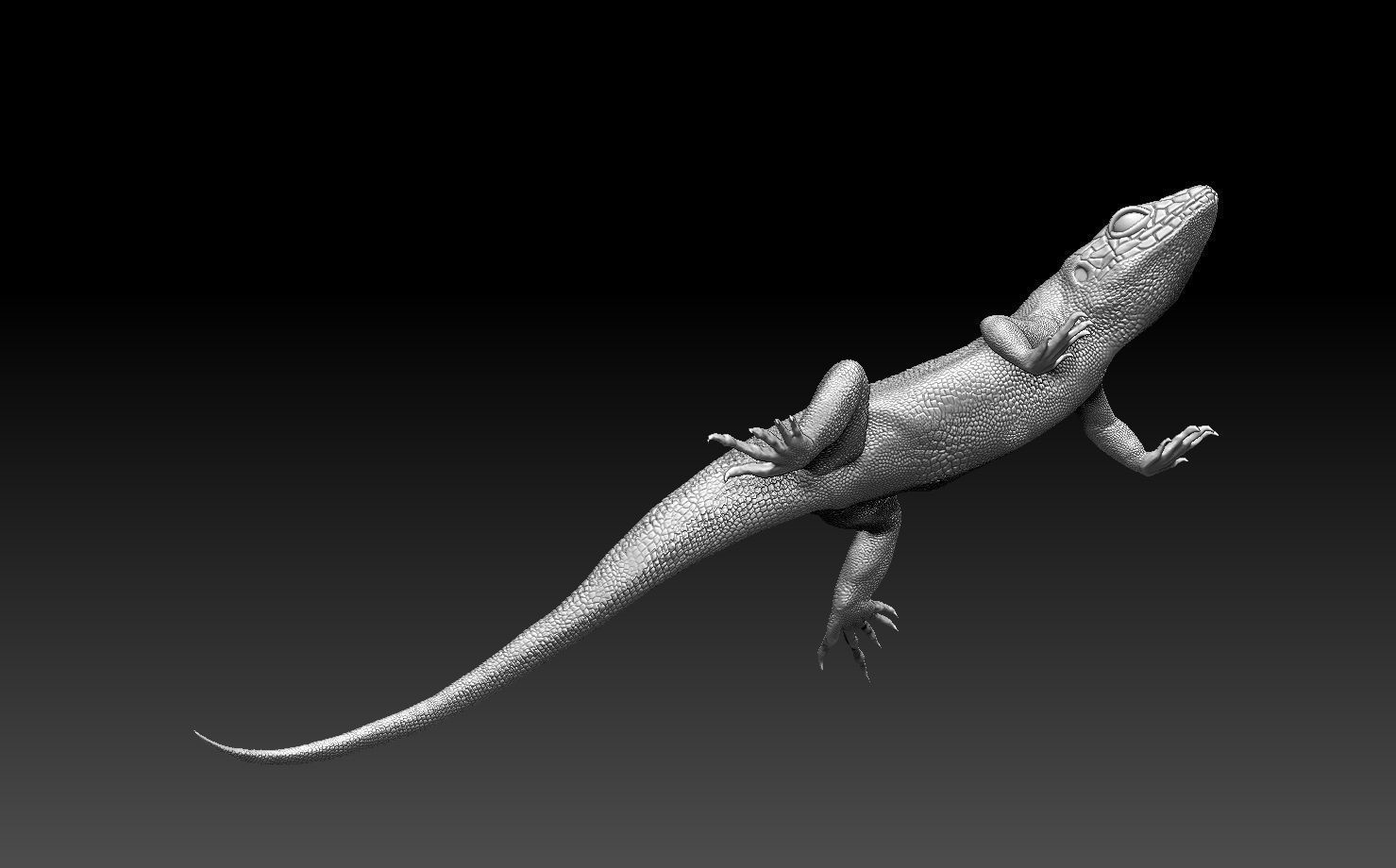 lizard 3D model 3D printable | CGTrader
