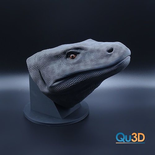 Monitor lizard-High-end 3D print model highpoly free 3D model 3D ...