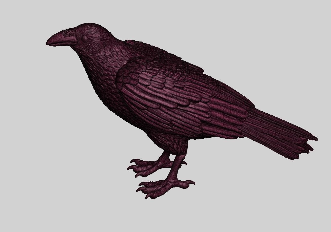 Raven 3D print model 3D model 3D printable | CGTrader