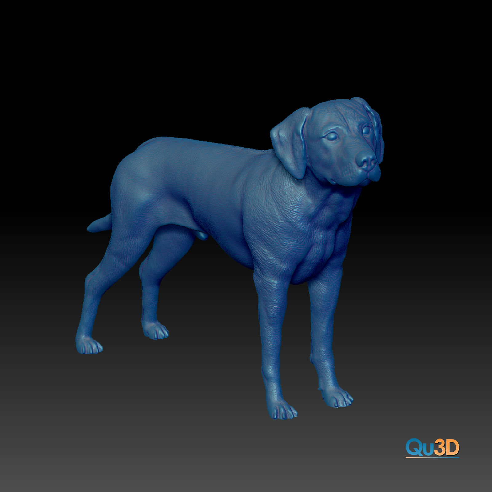 Rhodesian Ridgeback- full body-High-end 3D print model highpoly 3D ...