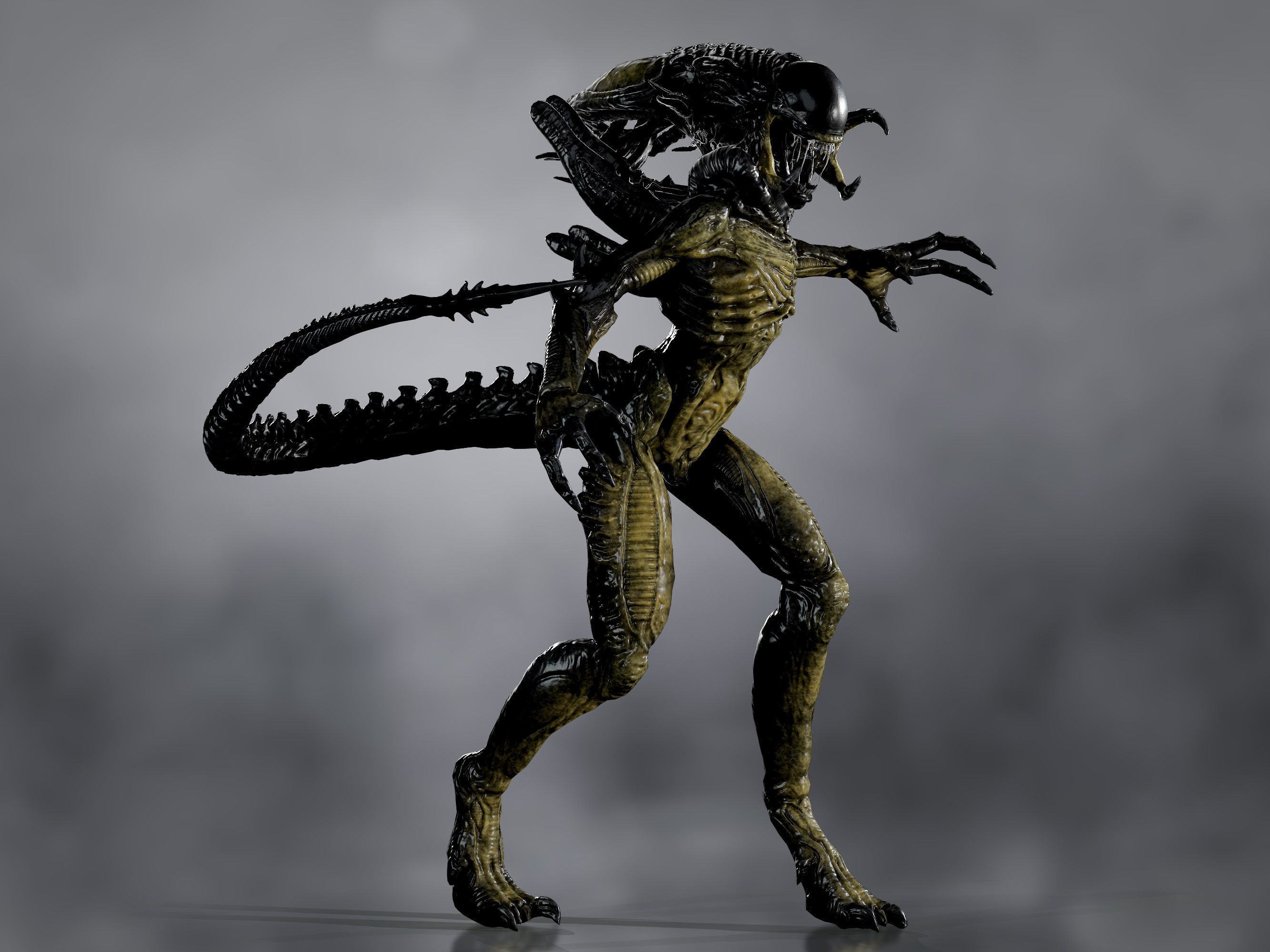 3D model Predalien VR / AR / low-poly rigged | CGTrader