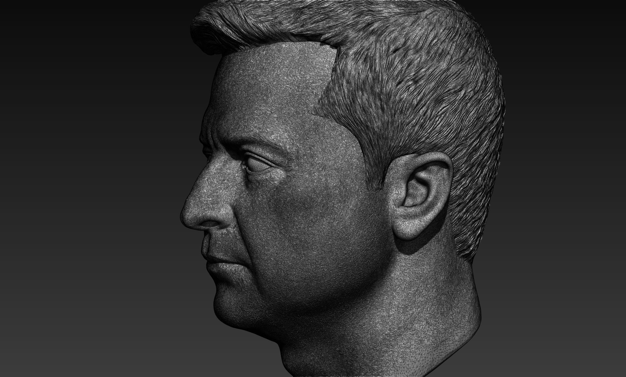 Volodymyr Zelensky Bust 3D model 3D printable | CGTrader