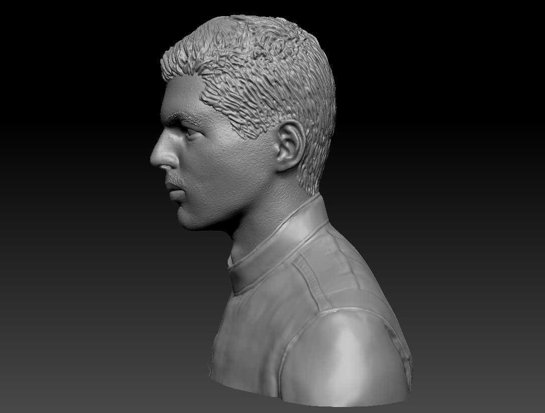 Max Verstappen bust 3D model 3D printable | CGTrader