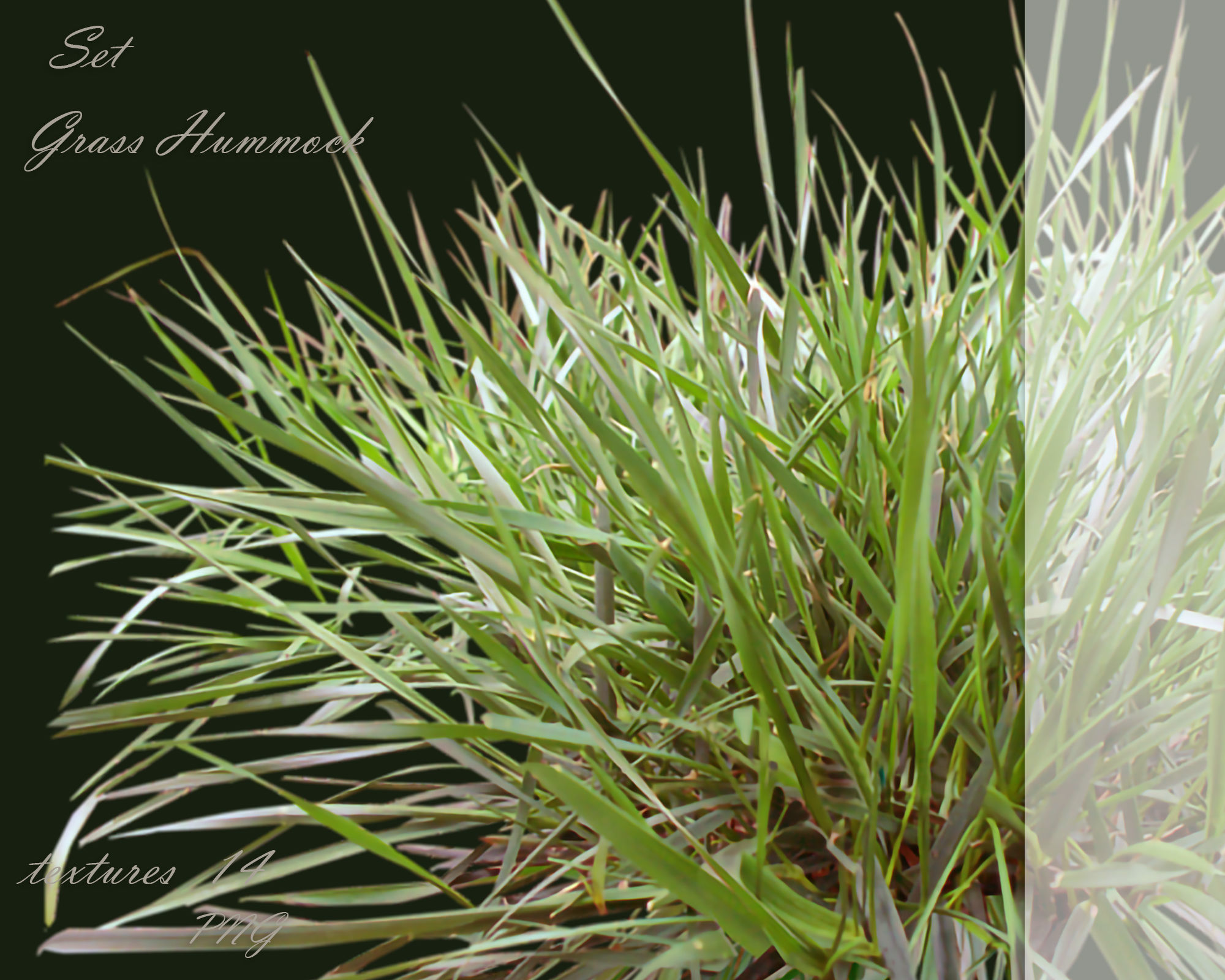 Texture Set Of Texture Grass Hummock Png Vr Ar Low Poly Cgtrader