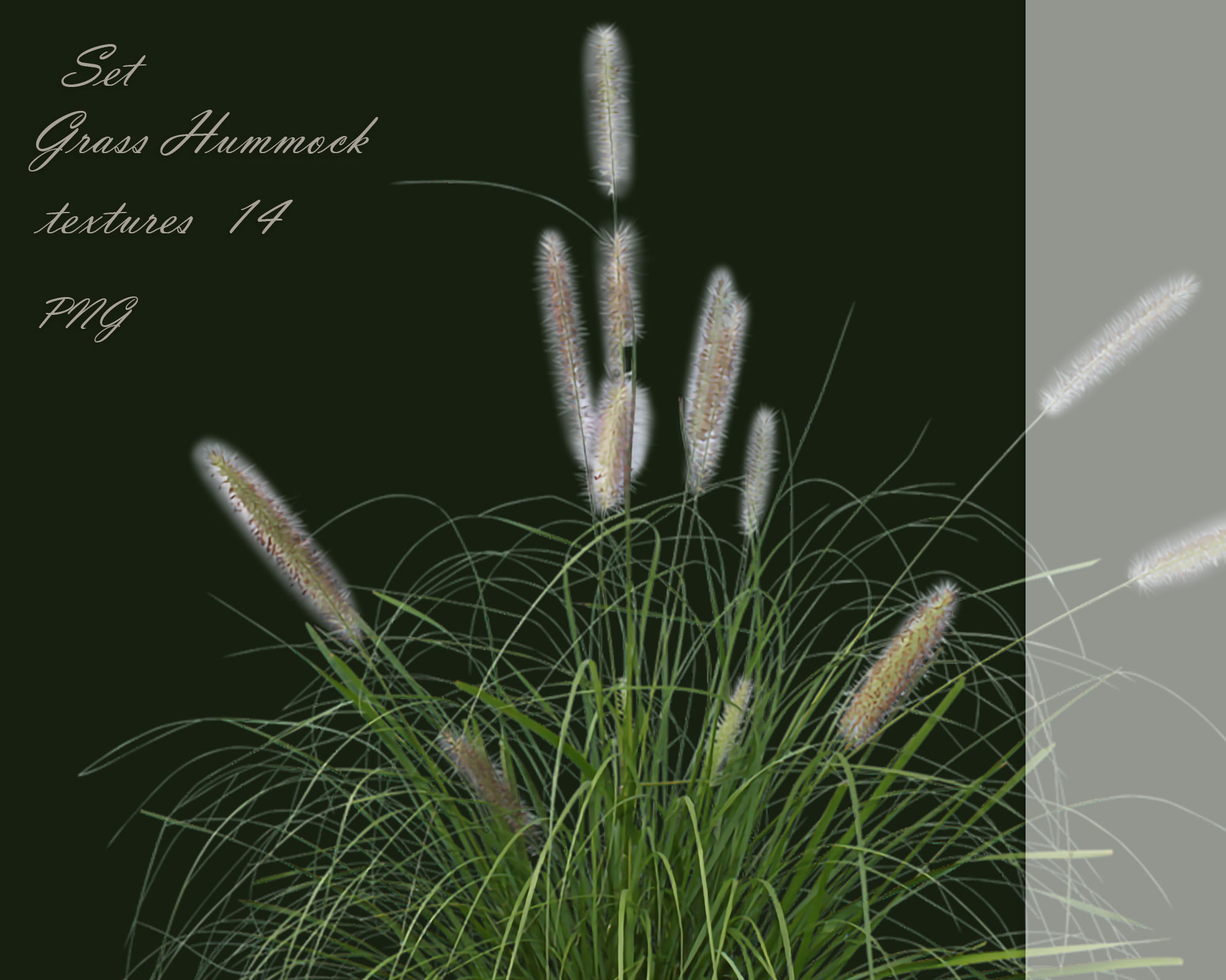 Texture Set of Texture Grass hummock PNG VR / AR / low-poly | CGTrader