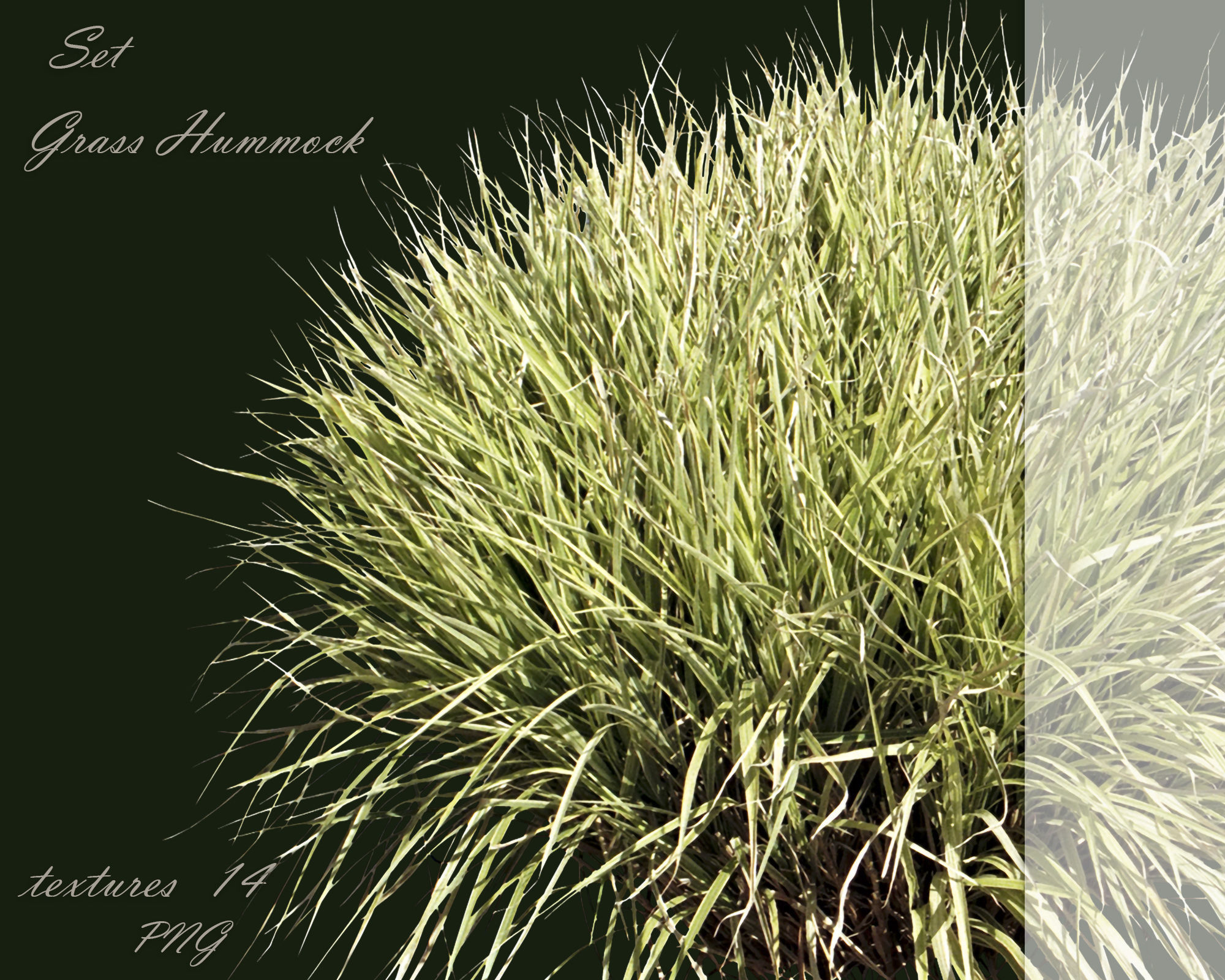 Texture Set of Texture Grass hummock PNG VR / AR / low-poly | CGTrader