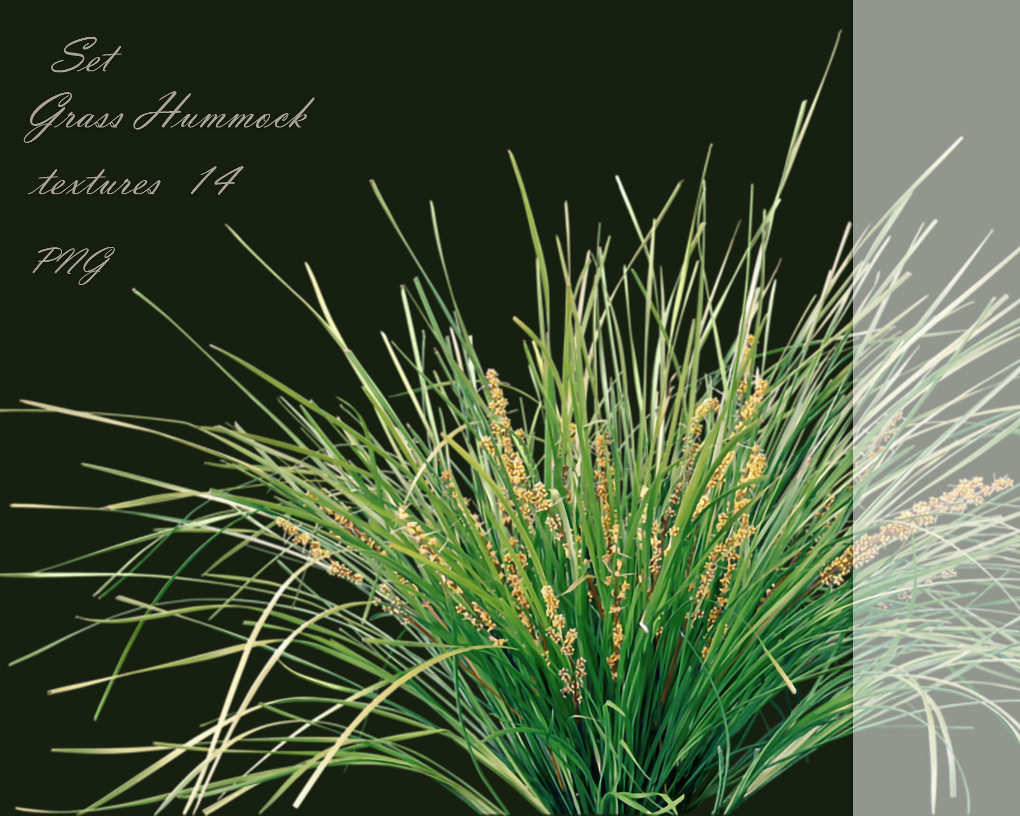Texture Set of Texture Grass hummock PNG VR / AR / low-poly | CGTrader